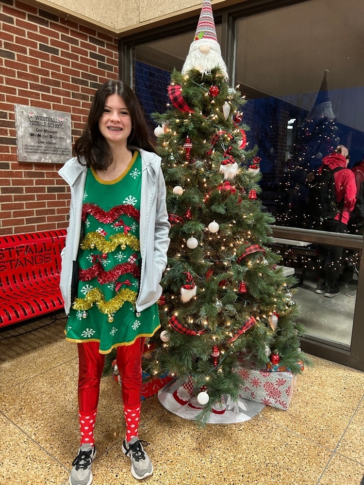 Live Feed | Westfall Middle School